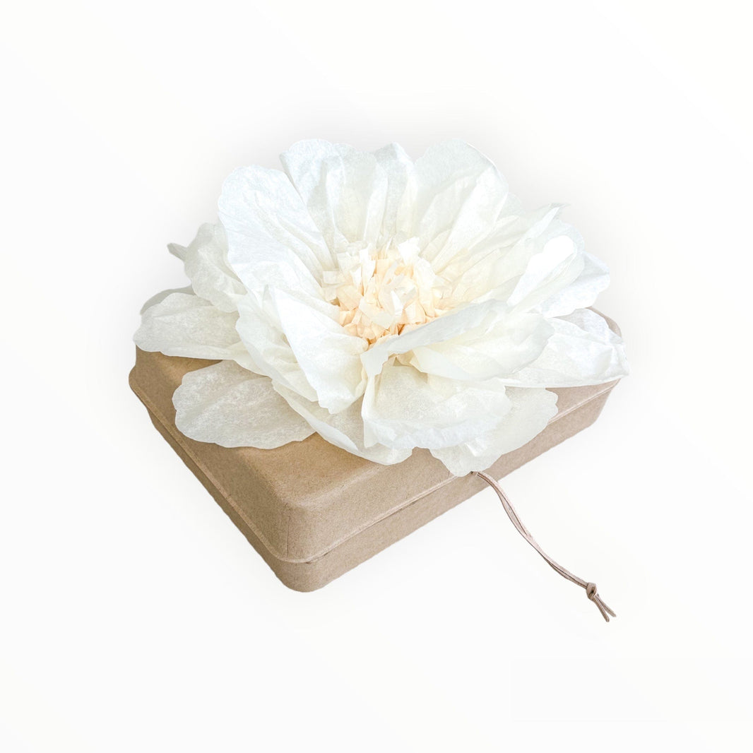 Biodegradable Water Urns for Ashes | Ocean, Lake & River Ceremonies ...